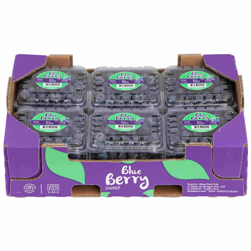 Blueberry Packet | Nostalgia Foods Ltd